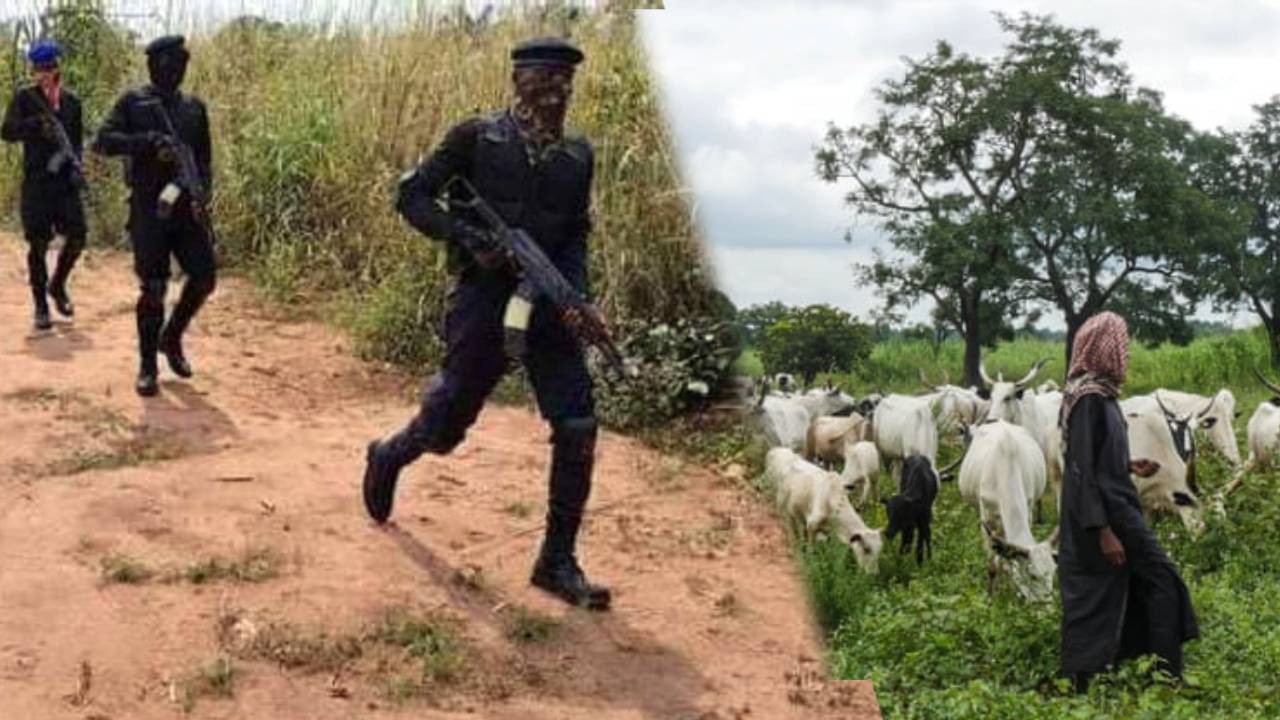 Fulani Herdsmen Attacked Enugu Communities During Anambra Election