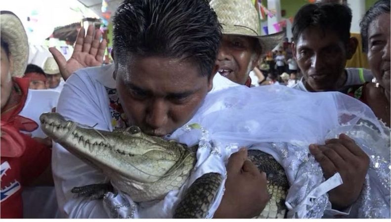 Mexican Mayor, Victor Hugo Sosa Weds Crocodile, Says 'We Love Each ...