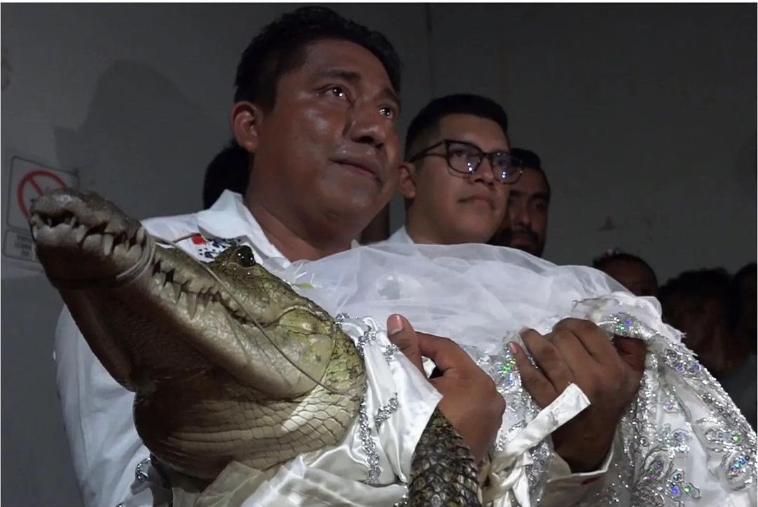Mexican Mayor, Victor Hugo Sosa Weds Crocodile, Says 'We Love Each Other' | Kanyi Daily News