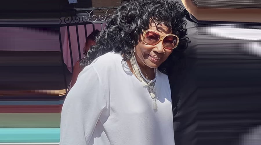 Actress Dalyce Curry Dies In Los Angeles Wildfires, Remains Found At ...