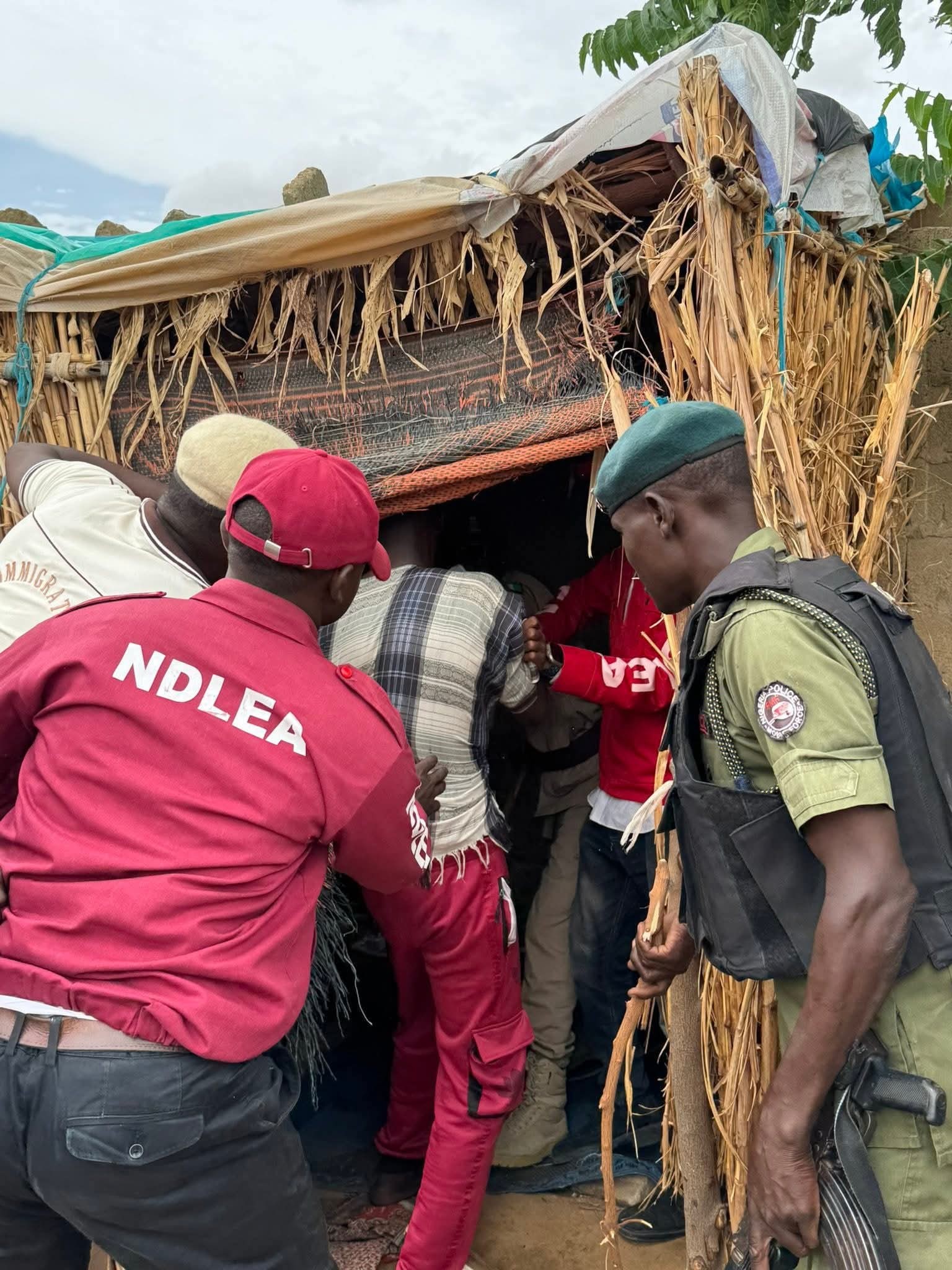 Many Arrested As Police, NDLEA, DSS Raid Notorious Drug Dens And ...