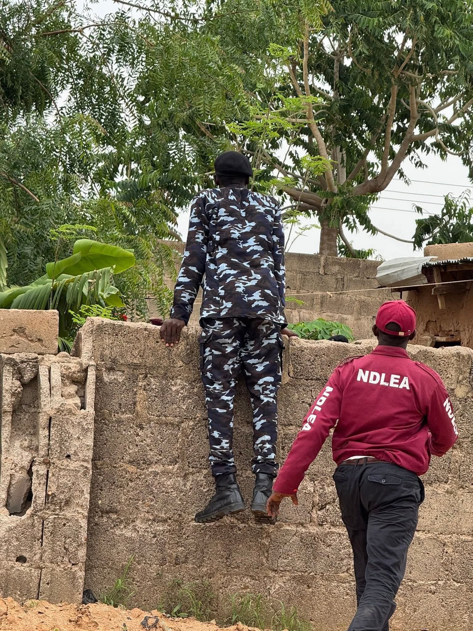 Many Arrested As Police, NDLEA, DSS Raid Notorious Drug Dens And ...