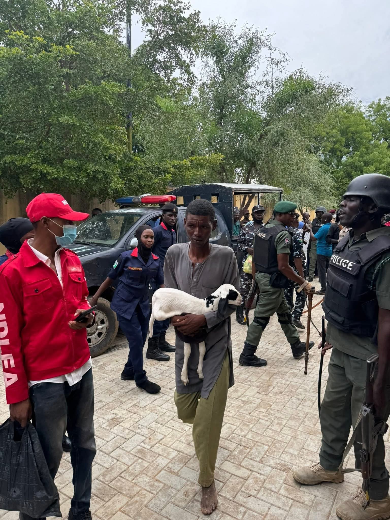 Many Arrested As Police, NDLEA, DSS Raid Notorious Drug Dens And ...